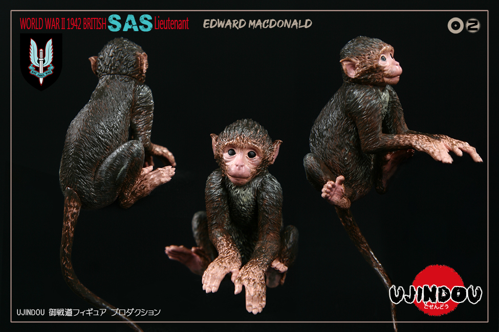[UD-90002] 1/6 WWII British SAS Lieutenant Edward MacDonald 1942 by ...
