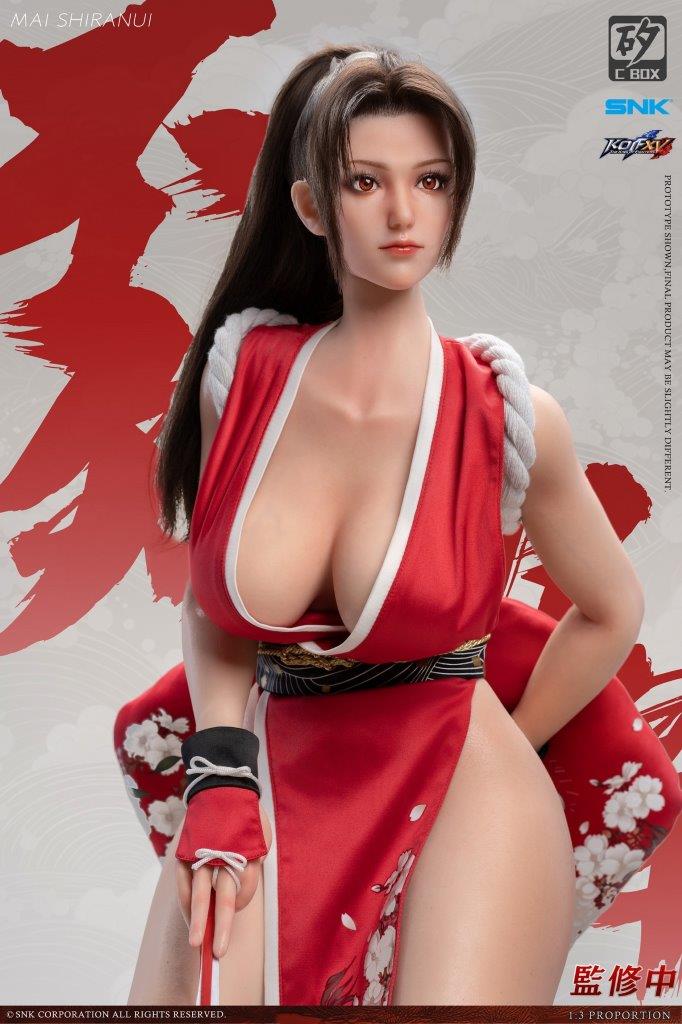 Dr. Silicone C-BOX 1:3 Articulated 27.5 Inch Tall Kunoichi in Gaming Mai Shiranui Action Figure ...
