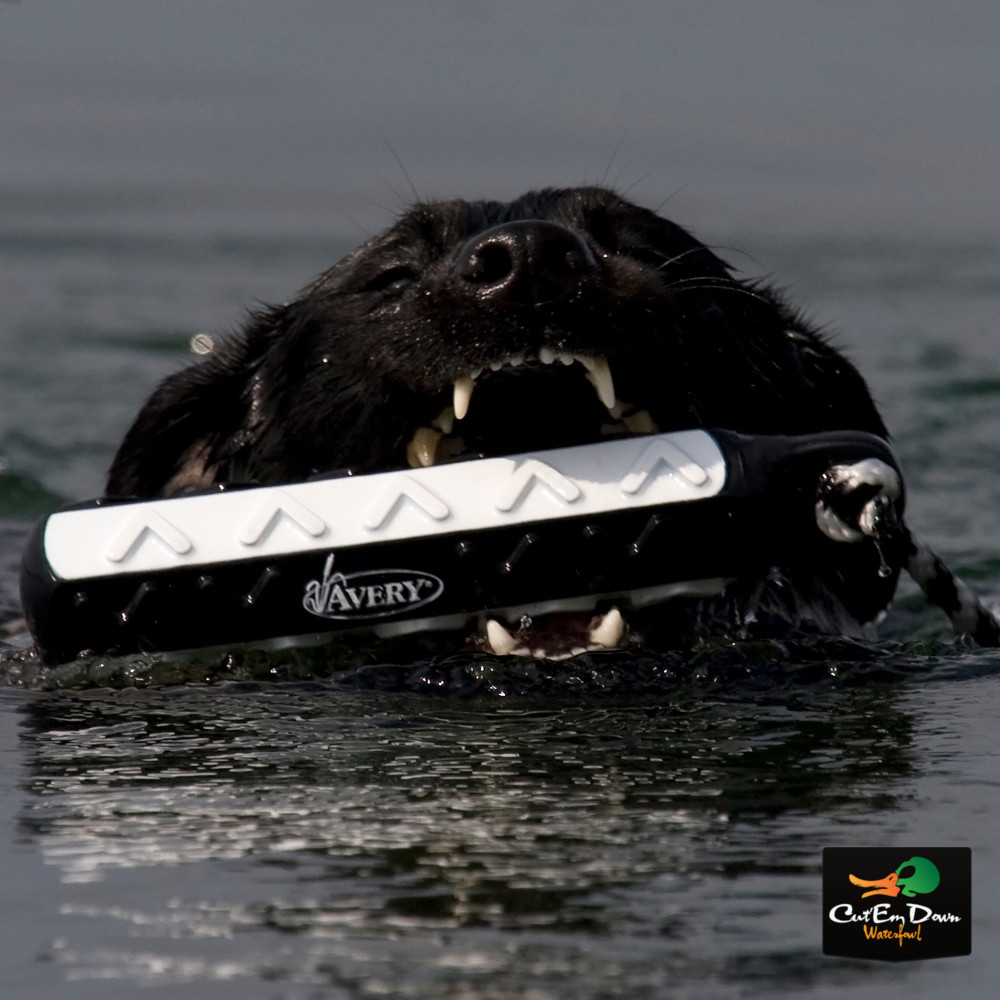 Banded b Logo Window Decal