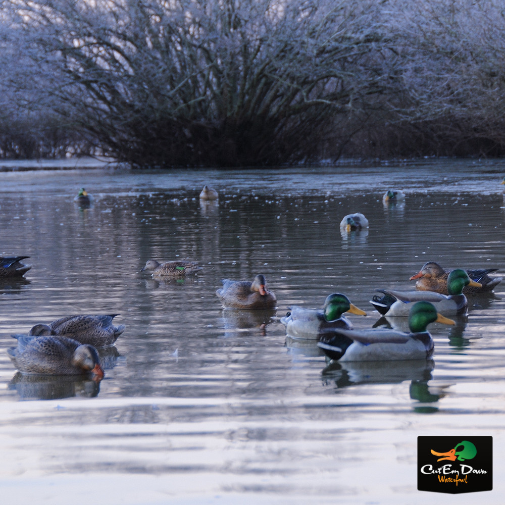 Avery GHG Pro-Grade Mallards - Harvester Pack w/ Flocked Heads