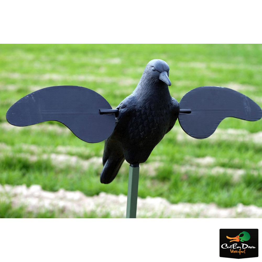 MOJO MOTORIZED CROW RAVEN SPINNING WING DECOY WITH MAGNETIC WINGS - Cut ...