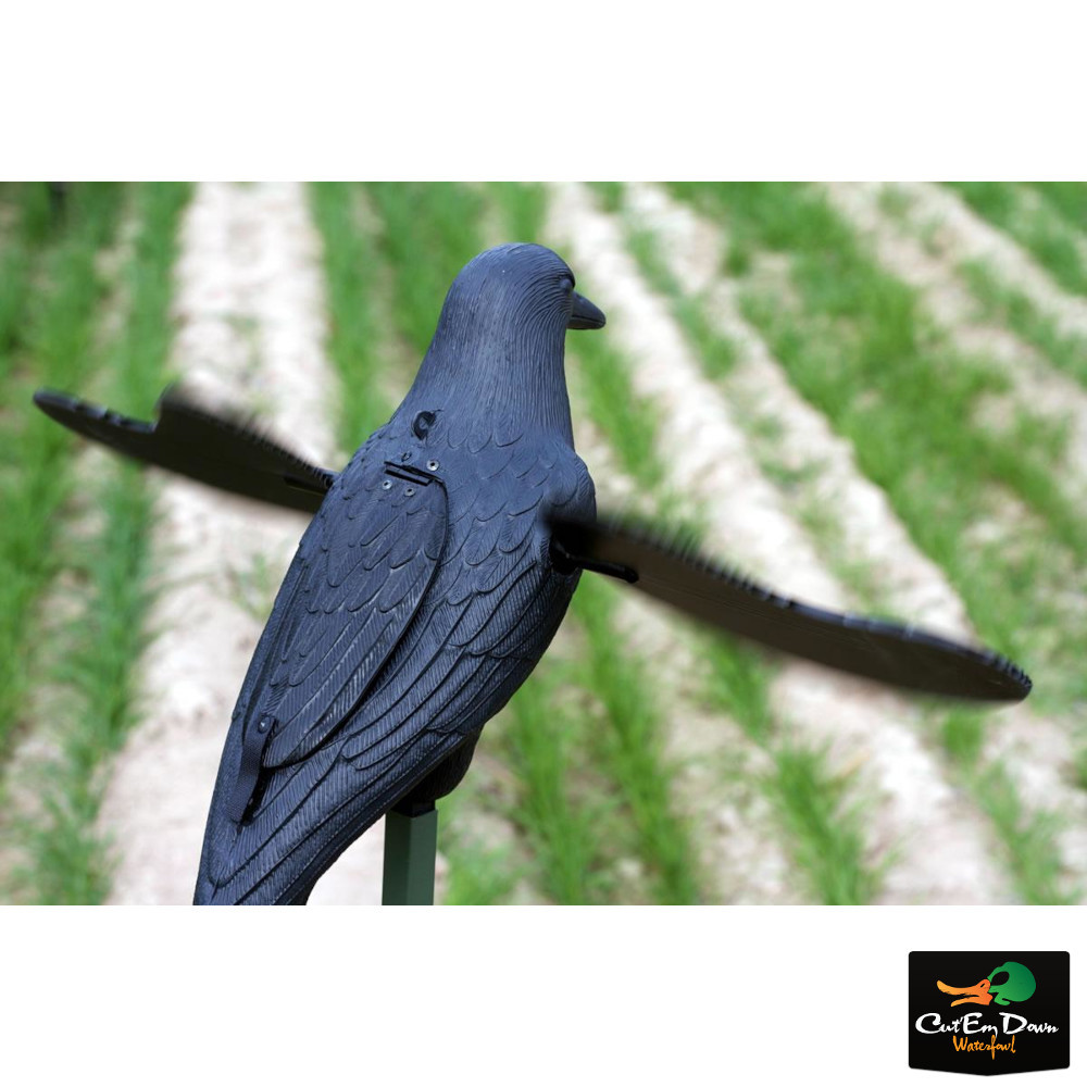 MOJO MOTORIZED CROW RAVEN SPINNING WING DECOY WITH MAGNETIC WINGS - Cut ...