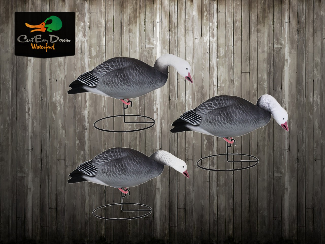 Hard Core Decoys Decal