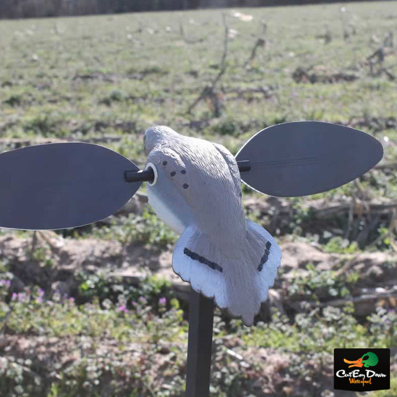 MOJO Elite Series Dove Decoy