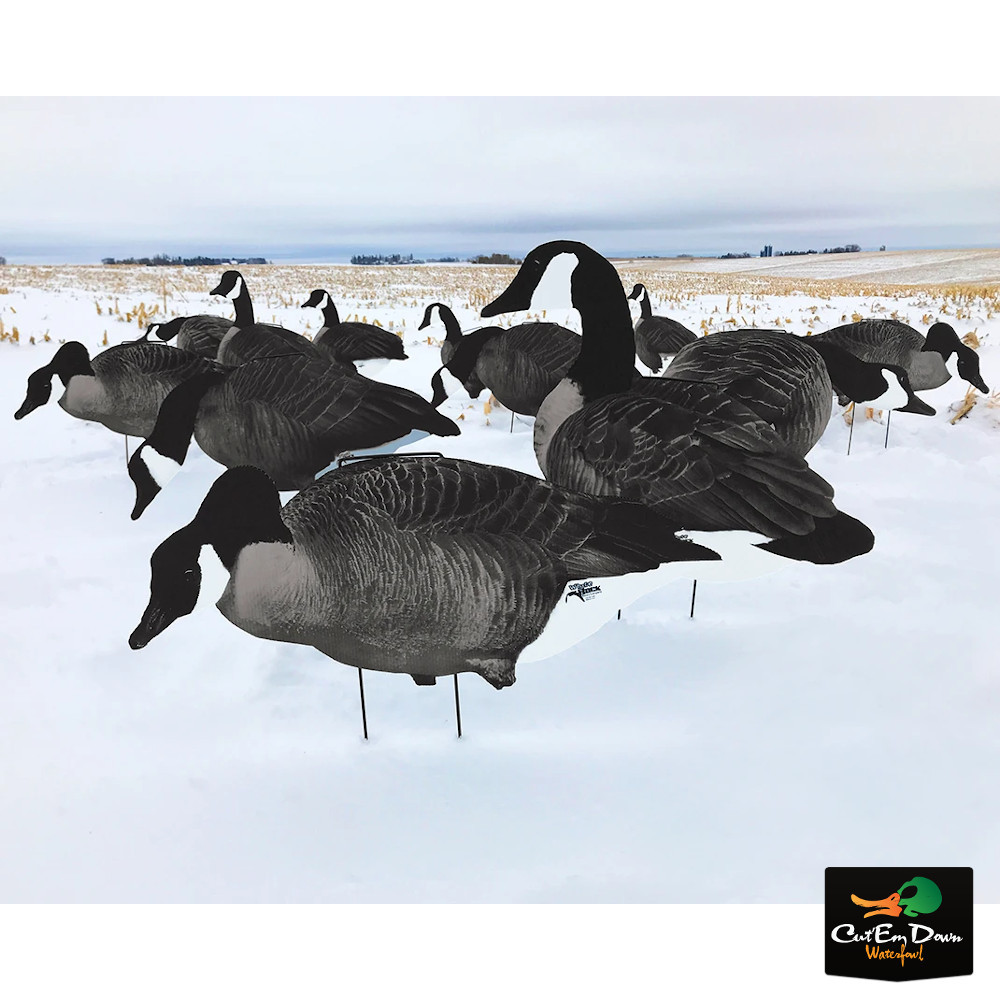 WHITE ROCK 2D ROCKONOMY PRINTED CANADA GOOSE SILOHOUETTE DECOYS