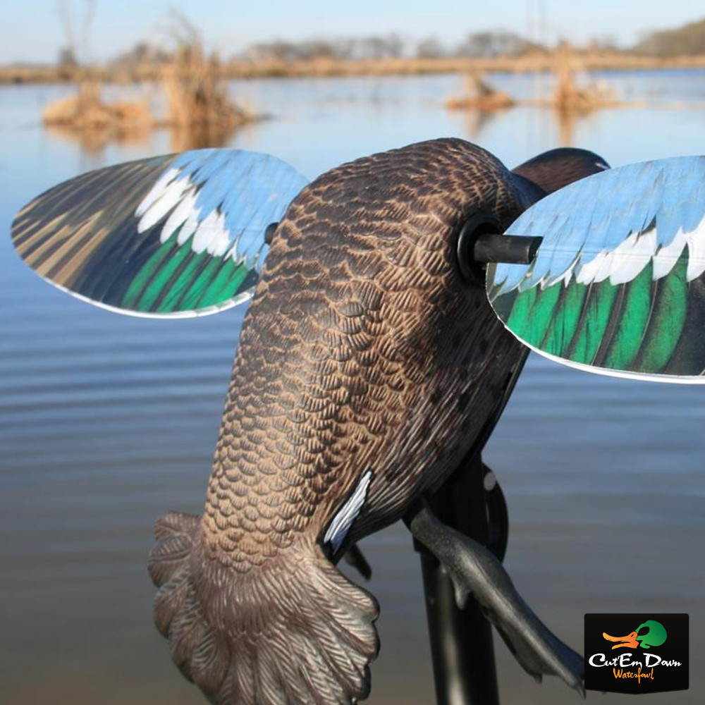 Mojo Elite Series Blue Wing Teal Spinning Wing Duck Decoy 3P
