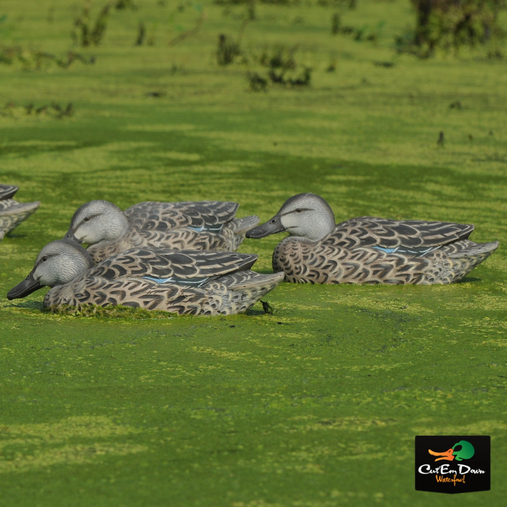 Avery Outdoors GHG Pro-Grade Blue-Winged Teal - Early Season Hen 6 Pack