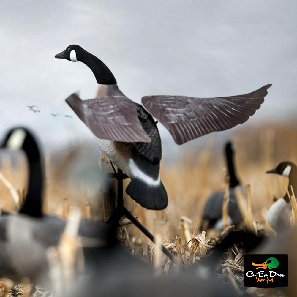 Luck Flapper Canada Goose - With Remote