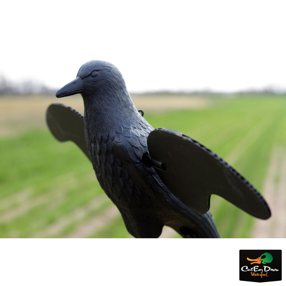 MOJO MOTORIZED CROW RAVEN SPINNING WING DECOY WITH MAGNETIC WINGS - Cut ...