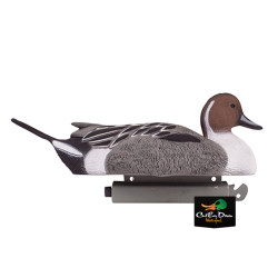 Tanglefree Pro Series Magnum Pintail Duck Decoys - 6 Pack Drakes