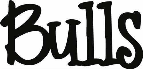 Best Online Wooden Shape Bulls Word Unfinished Craft Cutout