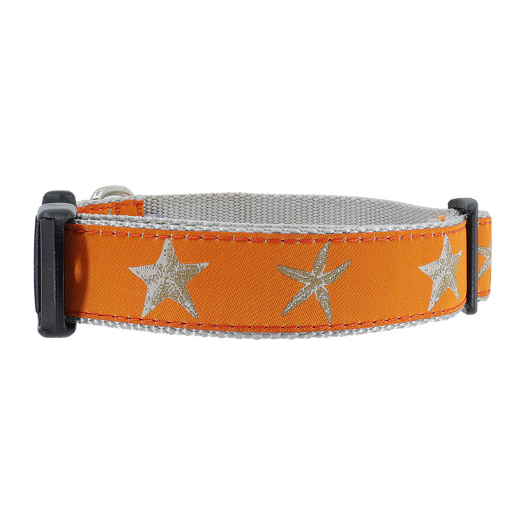 Starfish on Orange 1 1/4" Collar