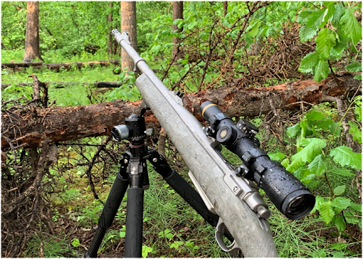 Ruger M77: Exploring Updated Additions for a Timeless Rifle - Alaska ...