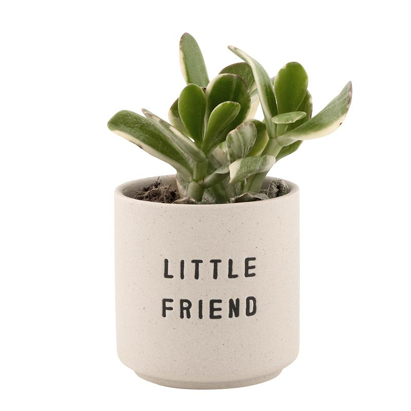 Ceramic Planting Pots - Set of 2 - [Consumer]Santa Barbara Design Studio