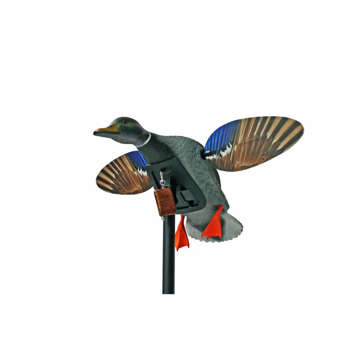 MOJO Elite Series - Mini Mallard Drake w/ Remote #HW2487 - GameMasters ...