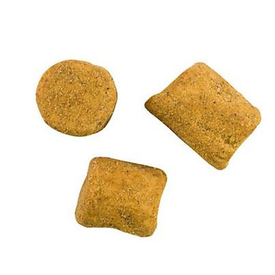 PowerBait Catfish Bait Chunks - GameMasters Outdoors