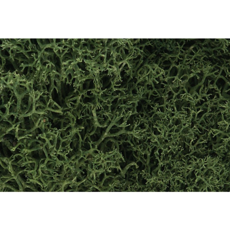 Woodland Scenics 163 - Medium Green Lichen - Midwest Model Railroad