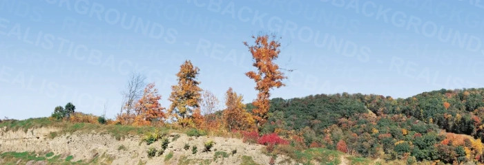 Backdrops for Model Railroads | Model Train Backdrops