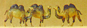 Preiser 79711 - Animals - Camels - N Scale - Midwest Model Railroad