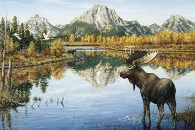 Bull Moose - Jeff Tift | Grand Art