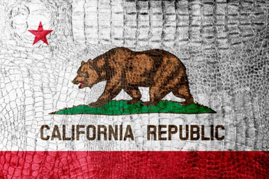 California Flag by MCA | Grand Art