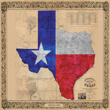 Texas Color Map by MCA | Grand Art