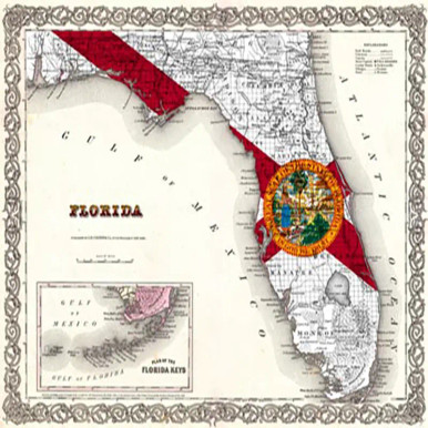 Florida Color Map by MCA | Grand Art
