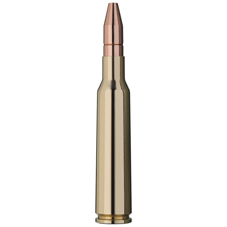 RWS Hunting 6.5x55 SE, 140 gr, Twin Core Ammunition