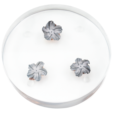 Cypress Tree Resin Hollow Point Bullets Paperweight: 9mm