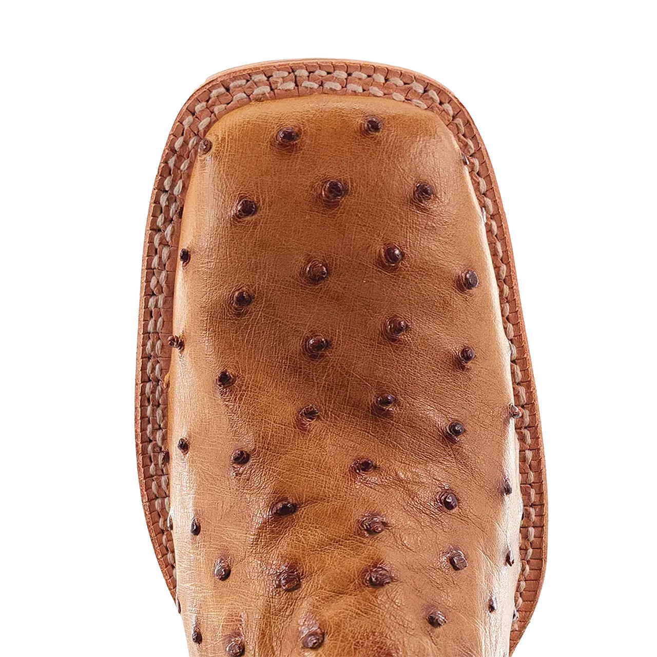 R Watson Men's Boots - RW4523 Full Quill Ostrich - Billy's Western Wear