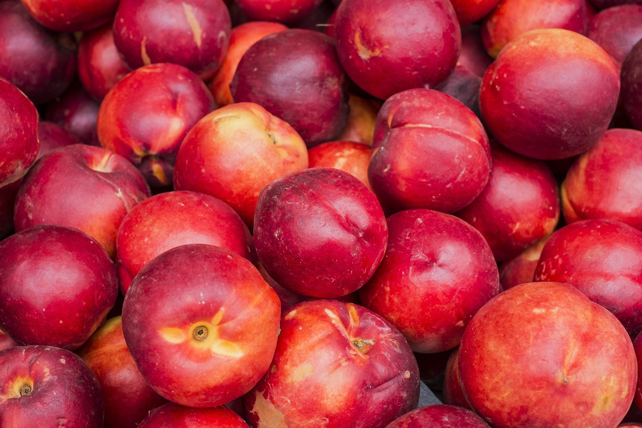 Shop - Fruit Trees - Nectarine Trees - Heritage Fruit Trees