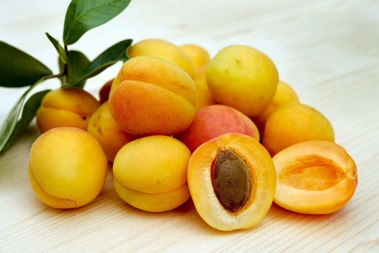 Shop - Fruit Trees - Apricot Trees - Heritage Fruit Trees