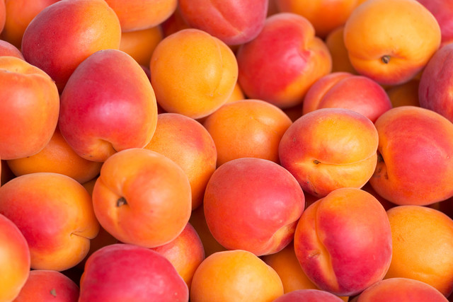 Shop - Fruit Trees - Apricot Trees - Heritage Fruit Trees