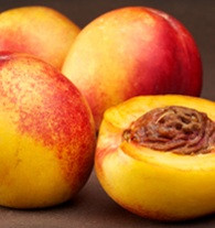 Shop - Fruit Trees - Nectarine Trees - Heritage Fruit Trees