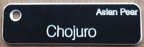 Asian Pear Orchard Labels - Heritage Fruit Trees