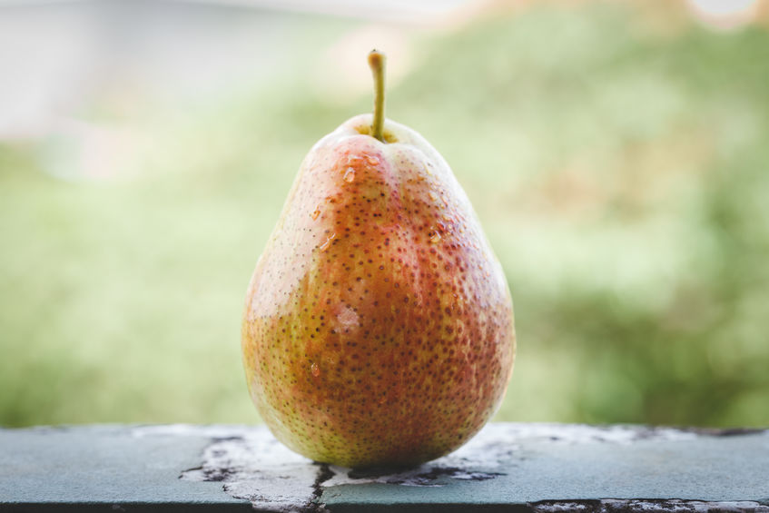 Corella Pear (Forelle) - Heritage Fruit Trees