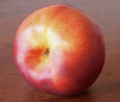Peacharine Nectarine - Heritage Fruit Trees