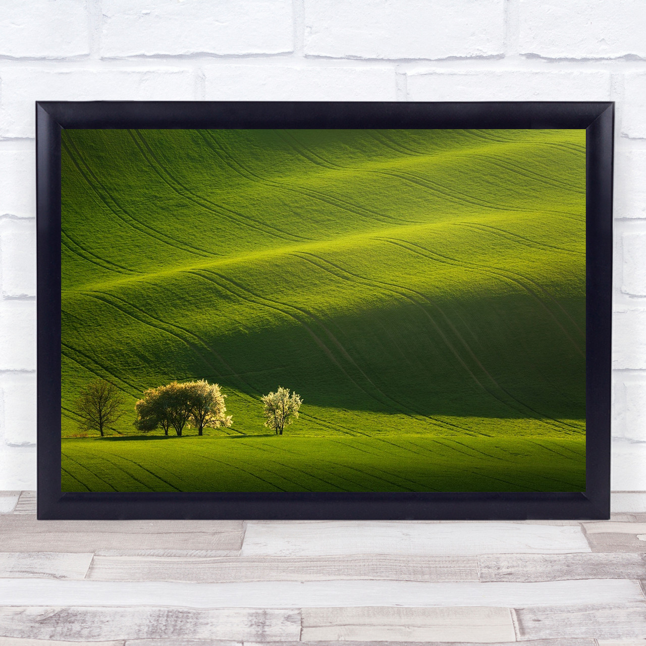 Light Green Fields Landscape