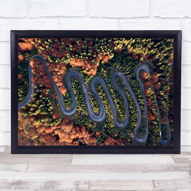 Aerial Above Landscape Forest Trees Road Meander Meandering Wall Art ...