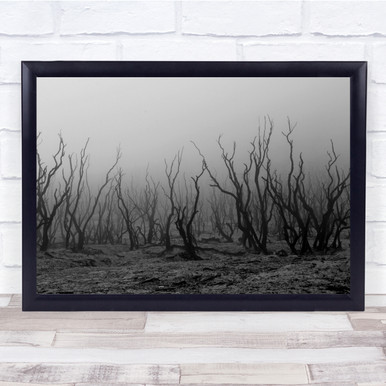 Landscape Fog Mist Haze Dead Death Apocalypse Doom Tree Wall Art Print ...