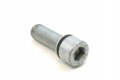 VW/Audi OEM Drain Plug (M10 x 30) - WCT Performance Canada