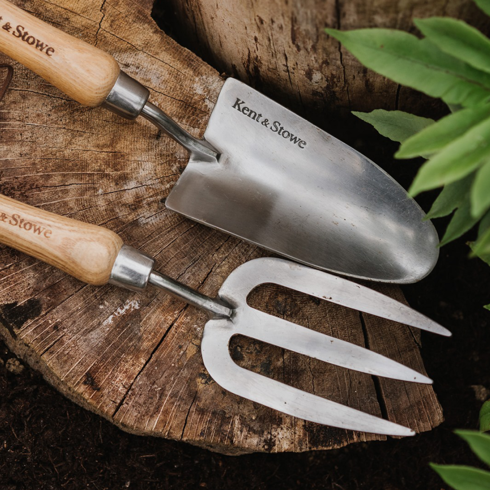 Koppert Cryptobug - L (Mealybugs Control) - East Riding Horticulture Ltd