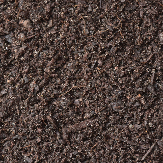 PURITY Organic Soil Conditioner | Plant Extract Formula