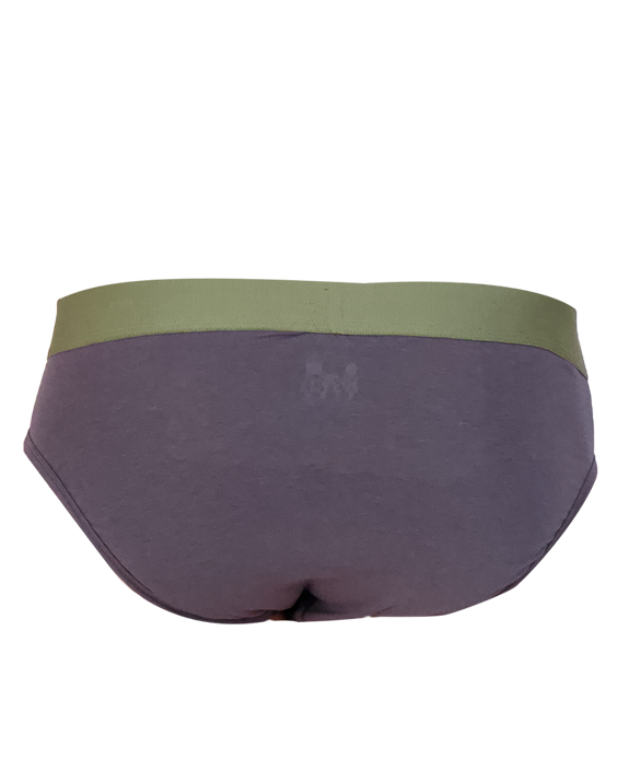 Hip Brief - Iron