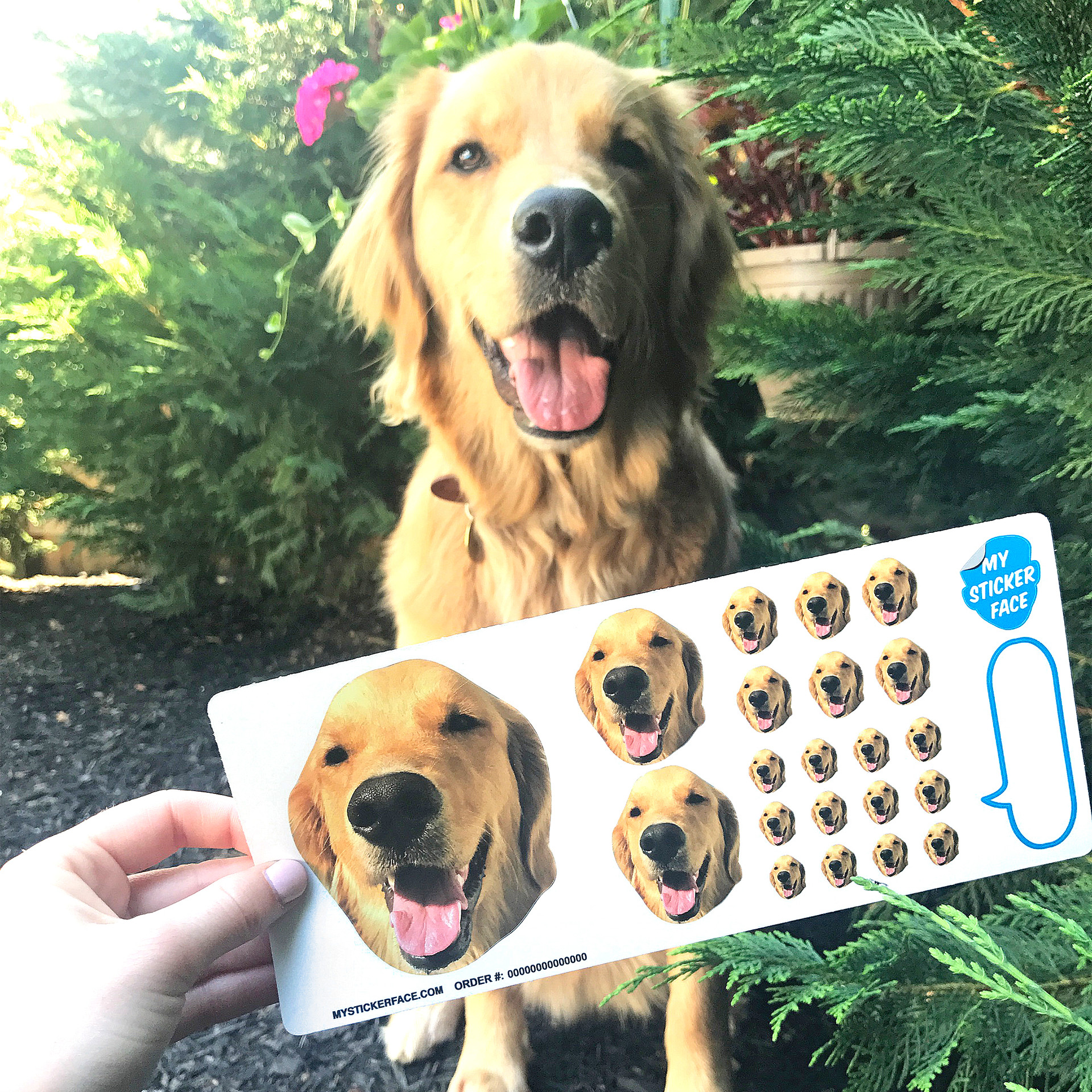 Custom Face Sticker Sampler Sheet