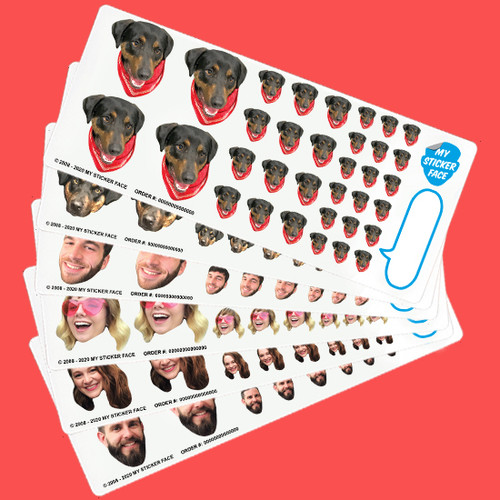 StickerFace™ 6 Pack - Choose the Sheet Style - Stickerface