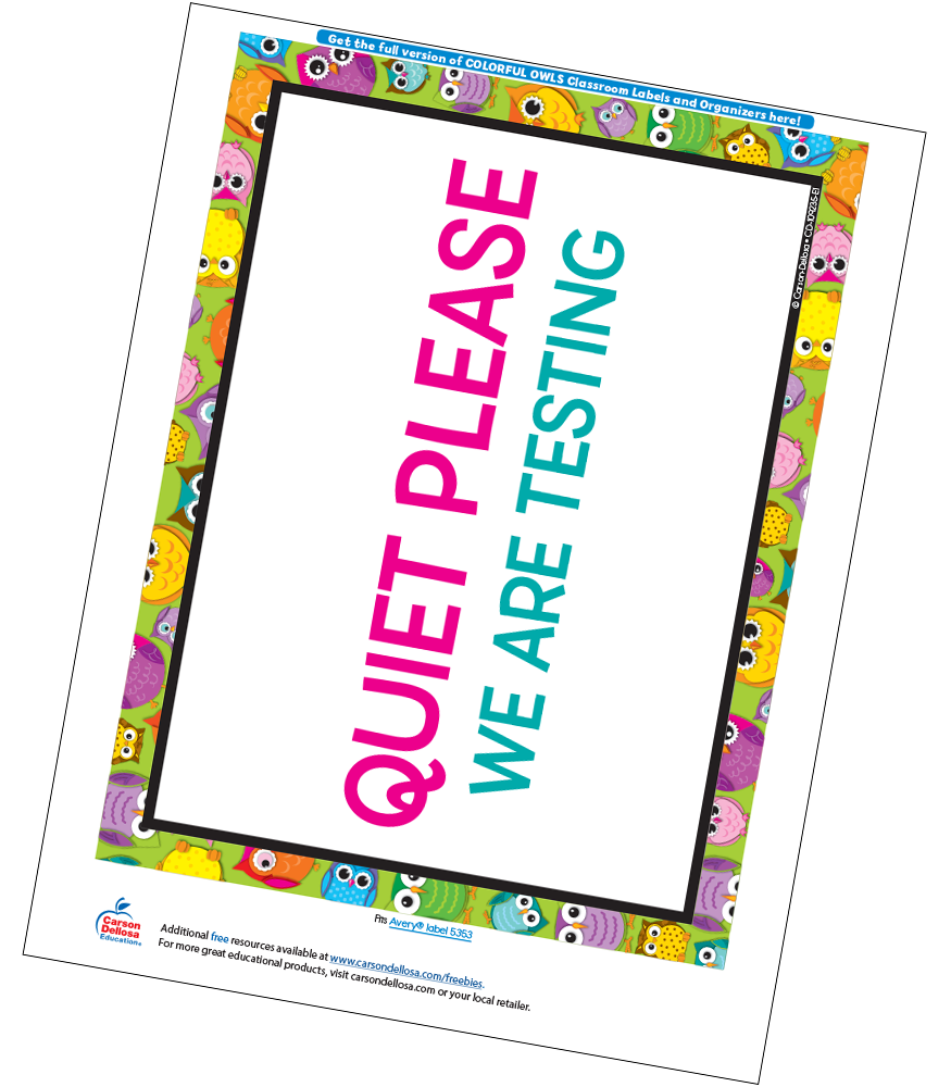 Colorful Owls Classroom Testing Sign Free Printable | Carson Dellosa