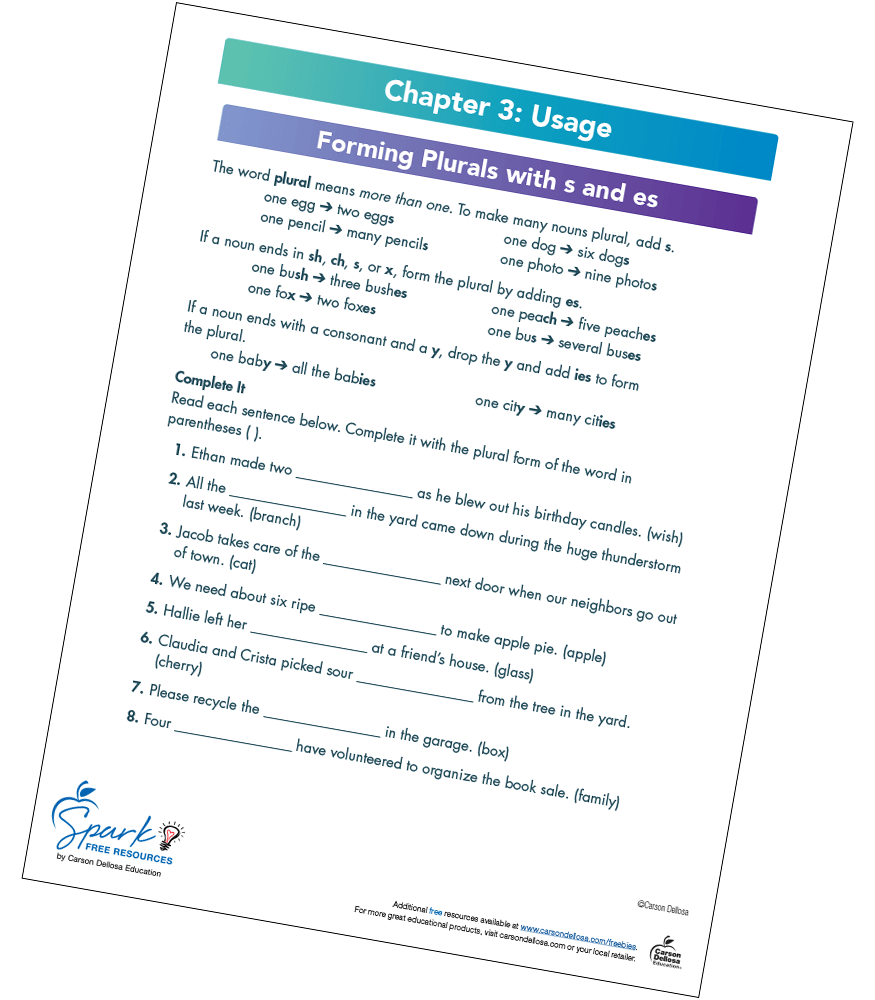 Spectrum Complete Grade 3 Forming Plurals Free Sample | Carson Dellosa