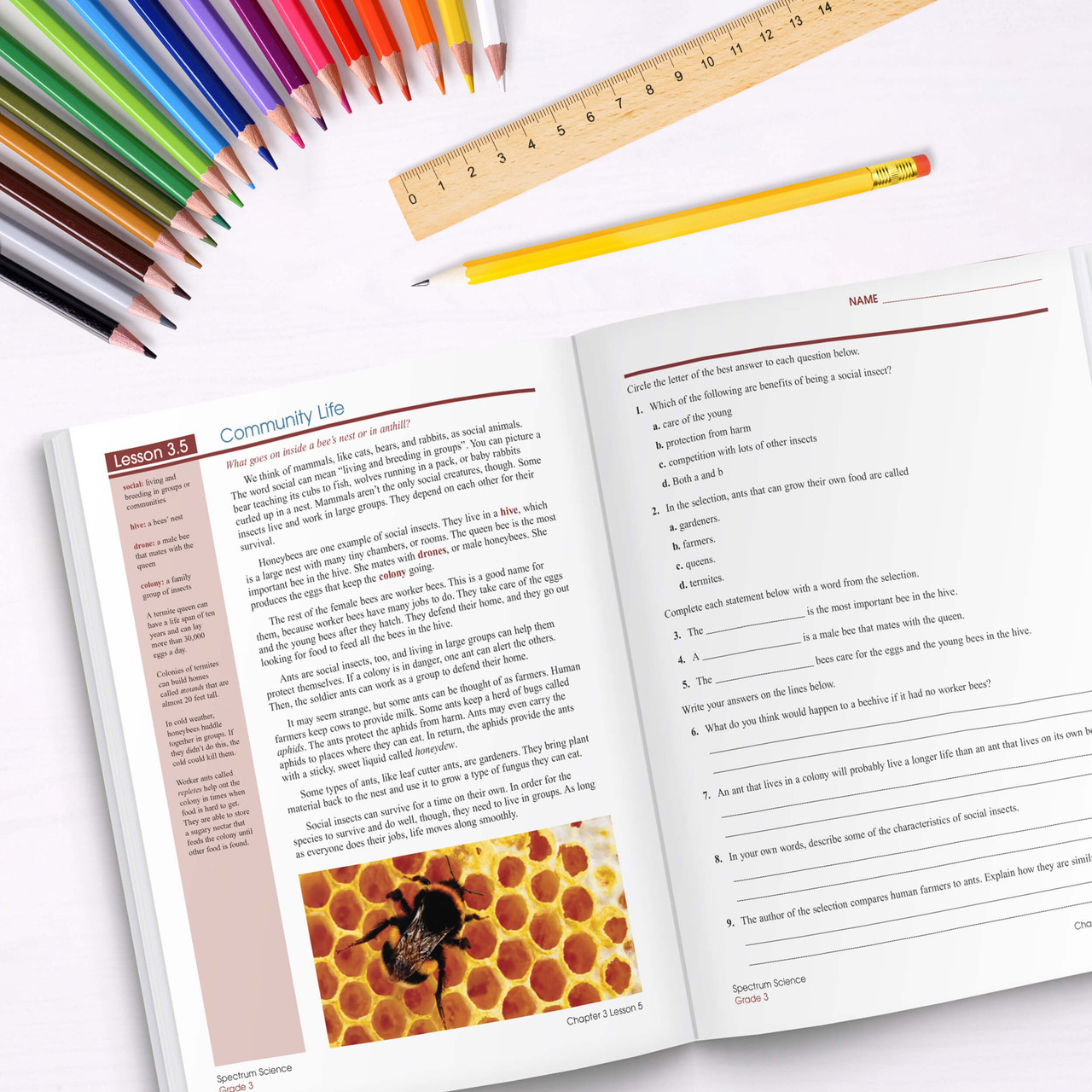Grade 3 Spectrum Science Workbook eBook (PDF)