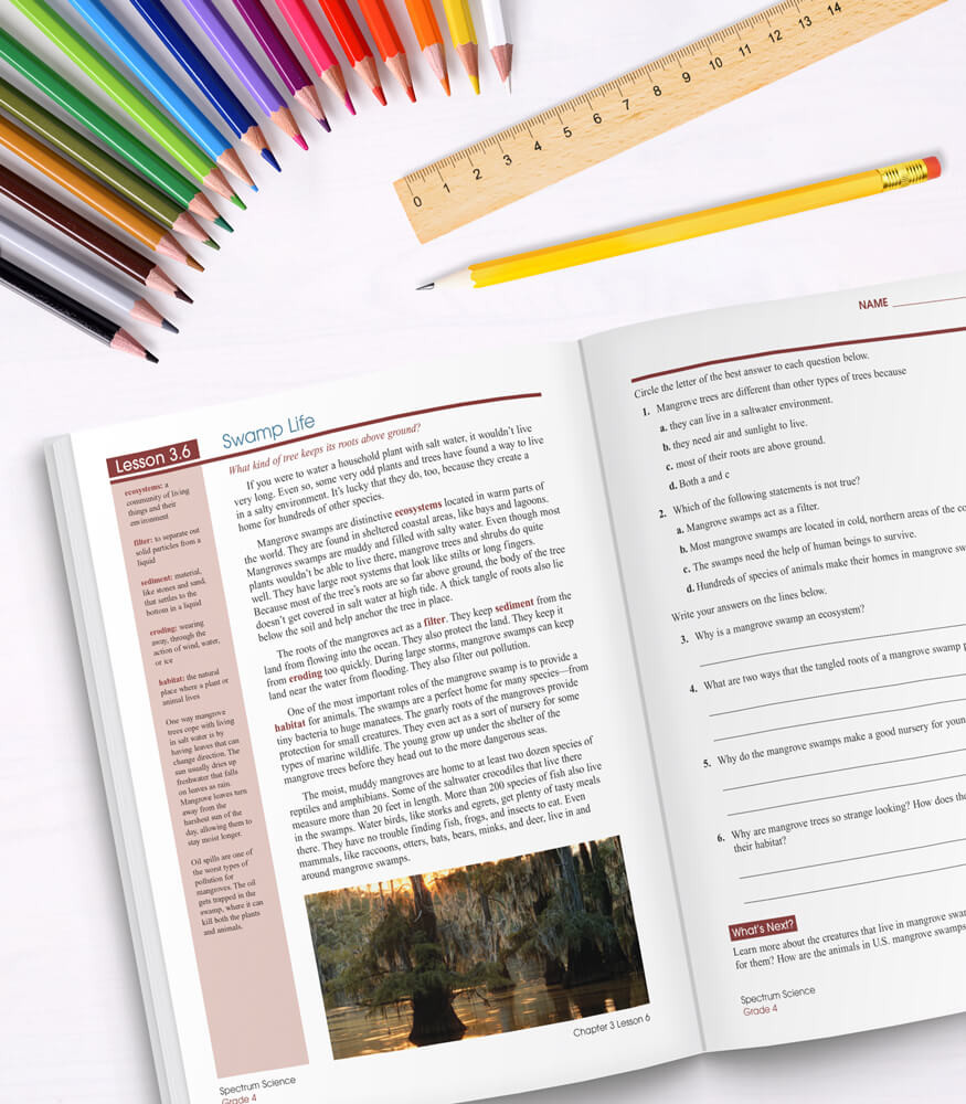 Grade 4 Spectrum Science Workbook Paperback